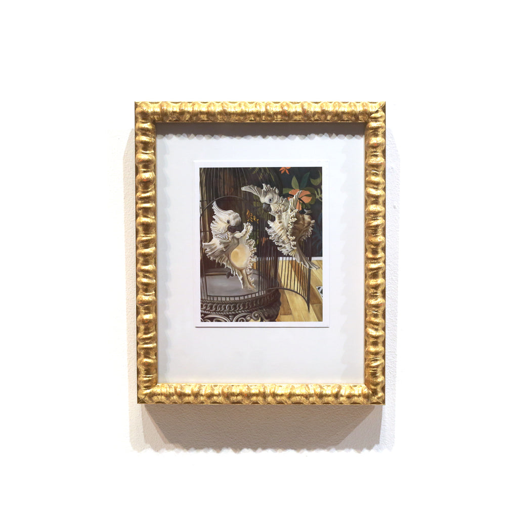 Framed Cockatoo Shells by Leah Kiser – Practical Art