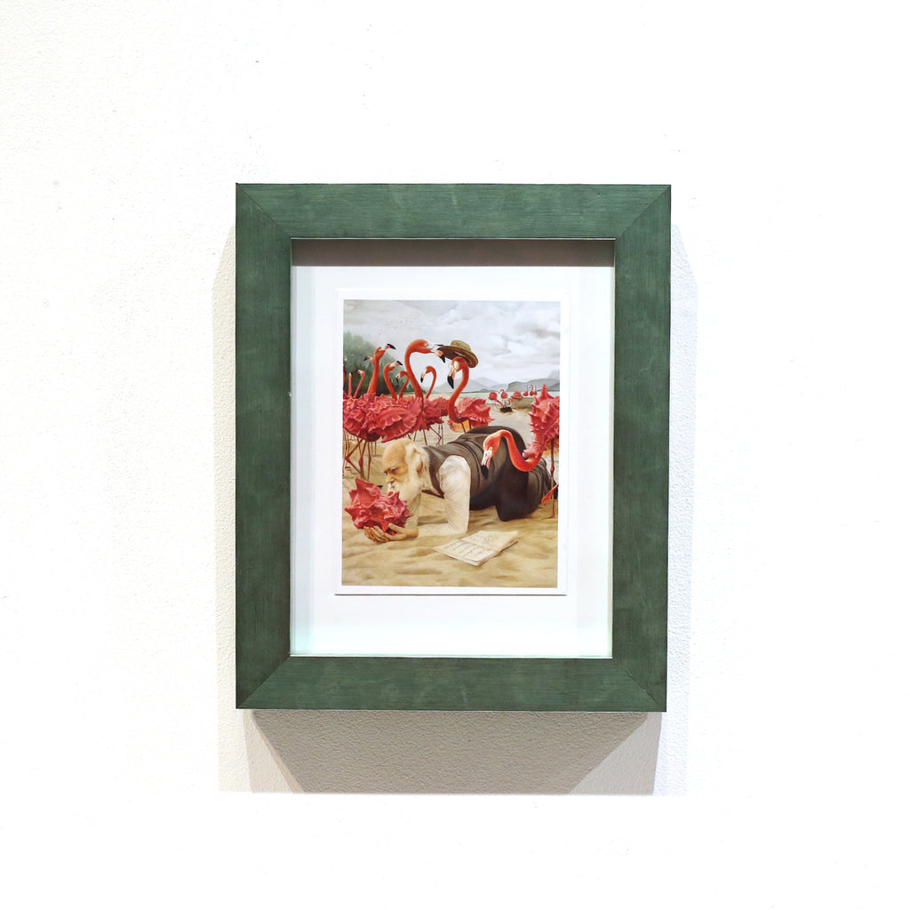 Framed A Daydream for Darwin by Leah Kiser – Practical Art