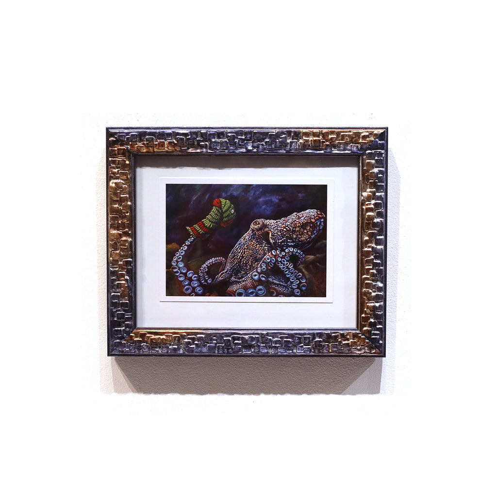 Framed Socktopus by Leah Kiser – Practical Art