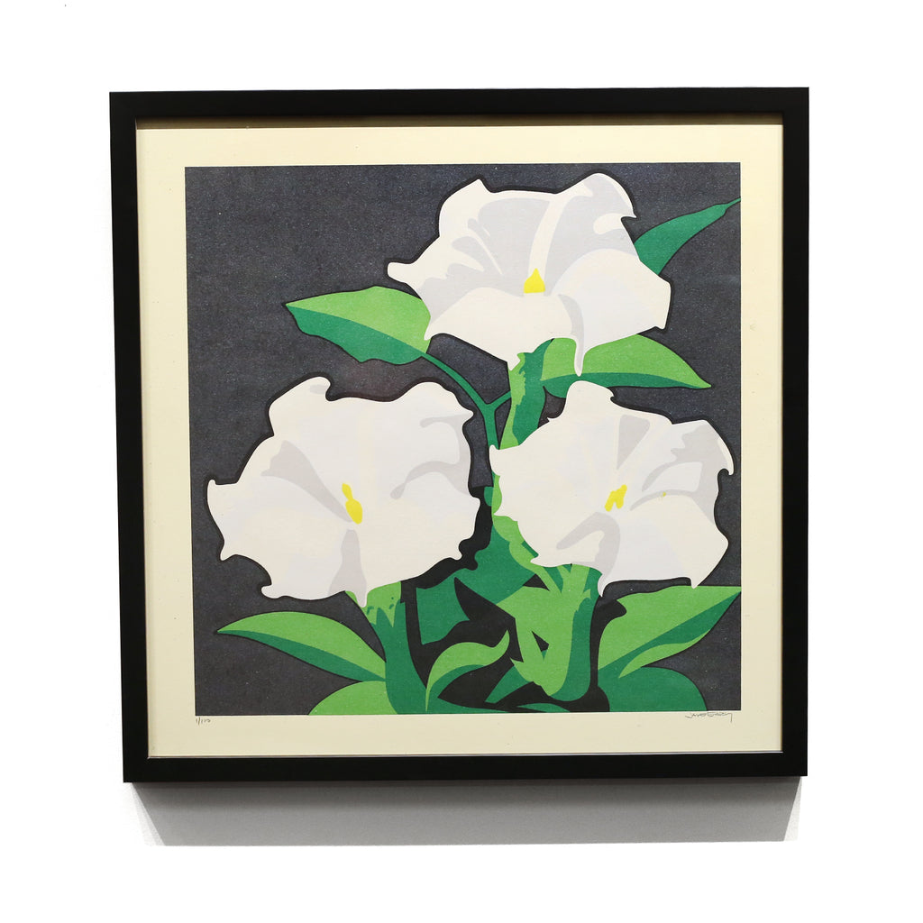 Datura metel (Devil's Trumpet) by Jake Early – Practical Art