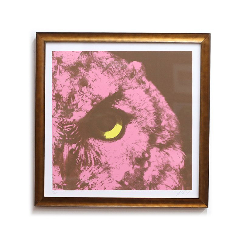 Owl Eye by Lisa Olson & Hamster Labs – Practical Art