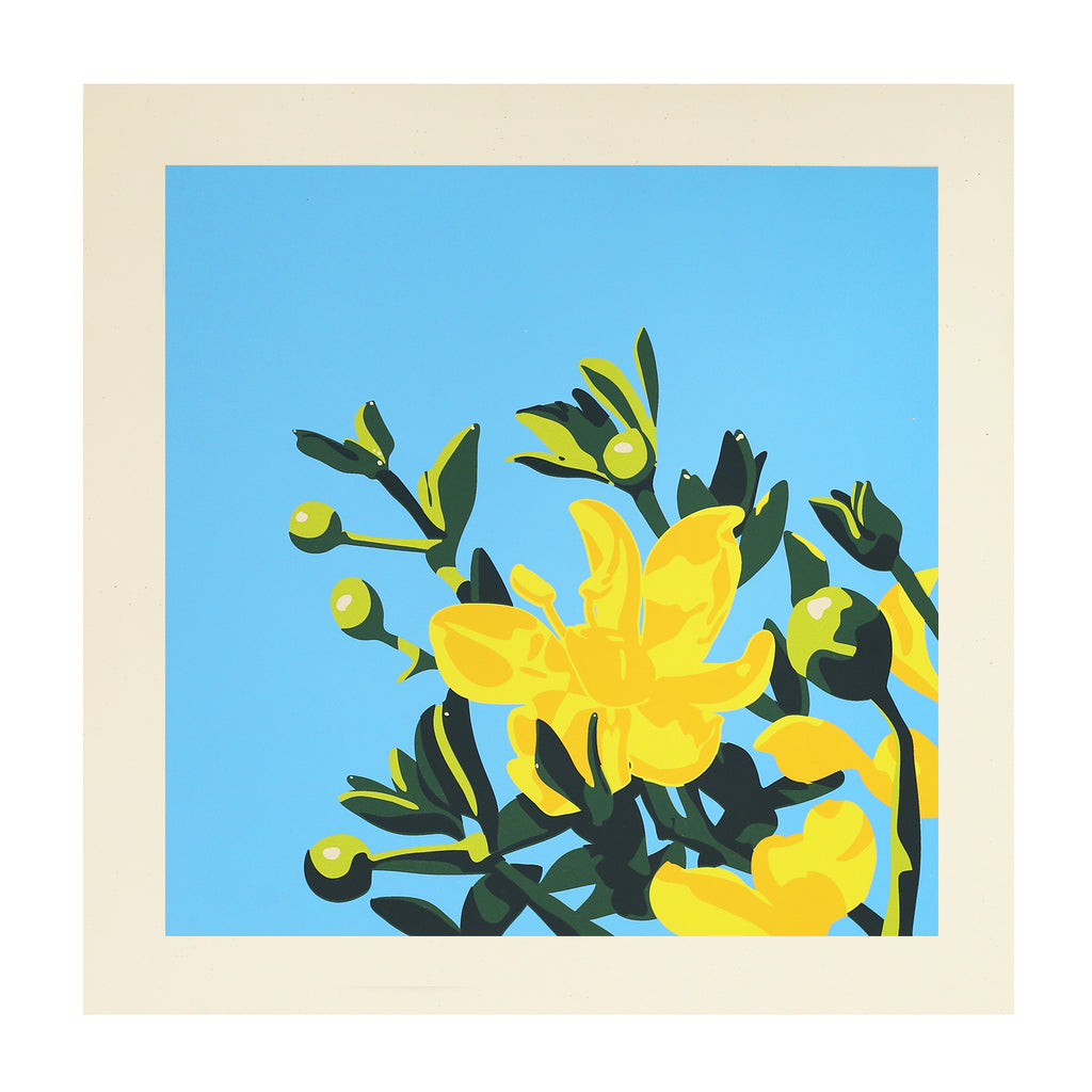 Creosote by Jake Early – Practical Art