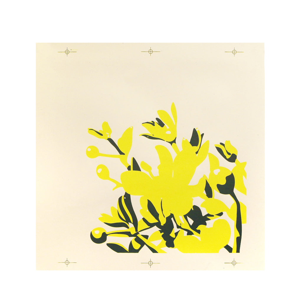 Imperfect Creosote Print by Jake Early – Practical Art