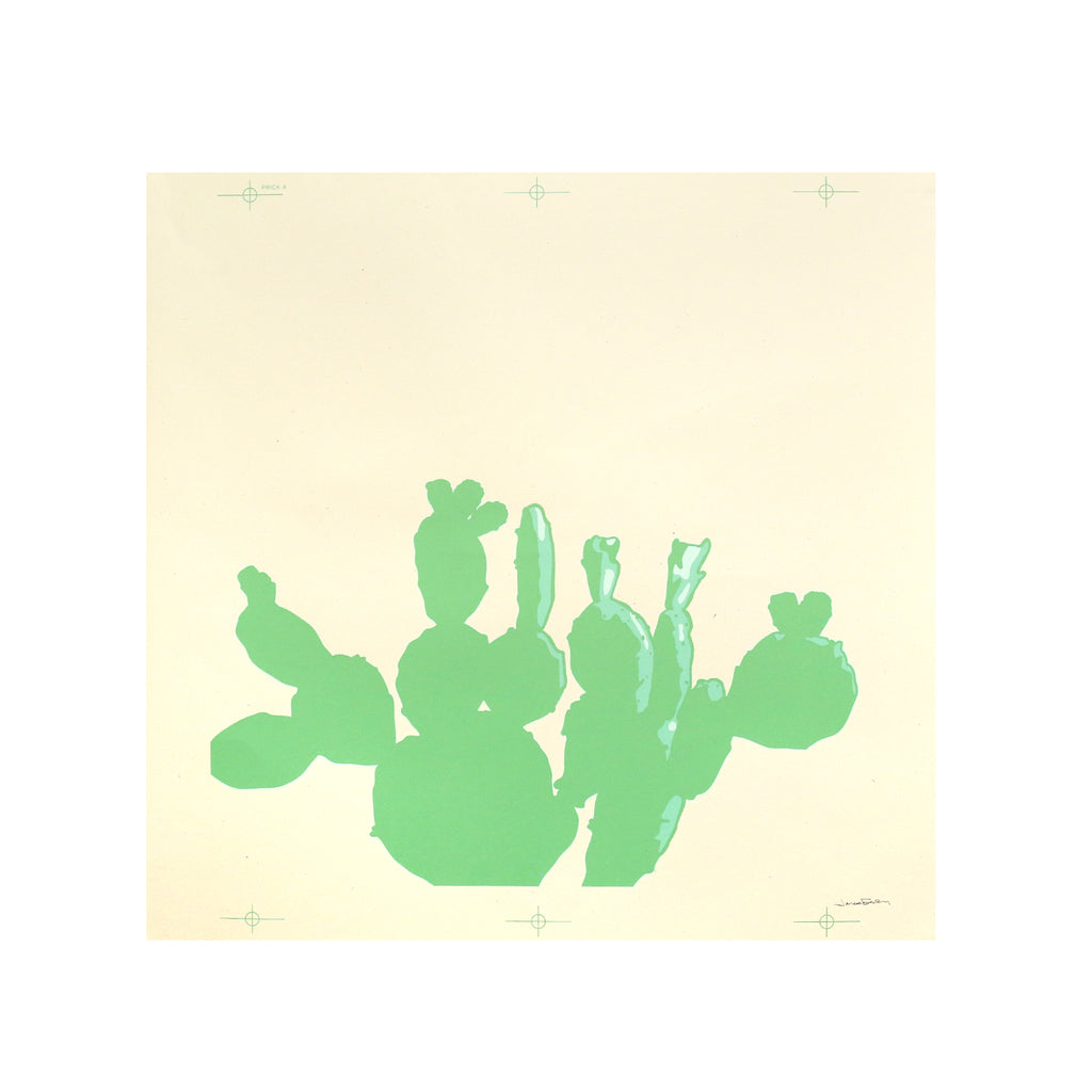 Imperfect Prickly Pear Print by Jake Early – Practical Art