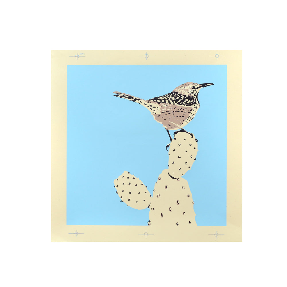 Imperfect Cactus Wren Print by Jake Early – Practical Art