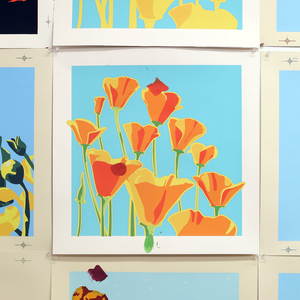 Imperfect California Poppies Print by Jake Early – Practical Art