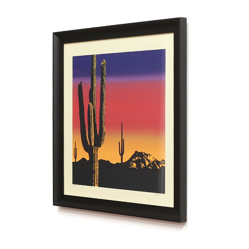 Sonoran Sunset by Jake Early – Practical Art