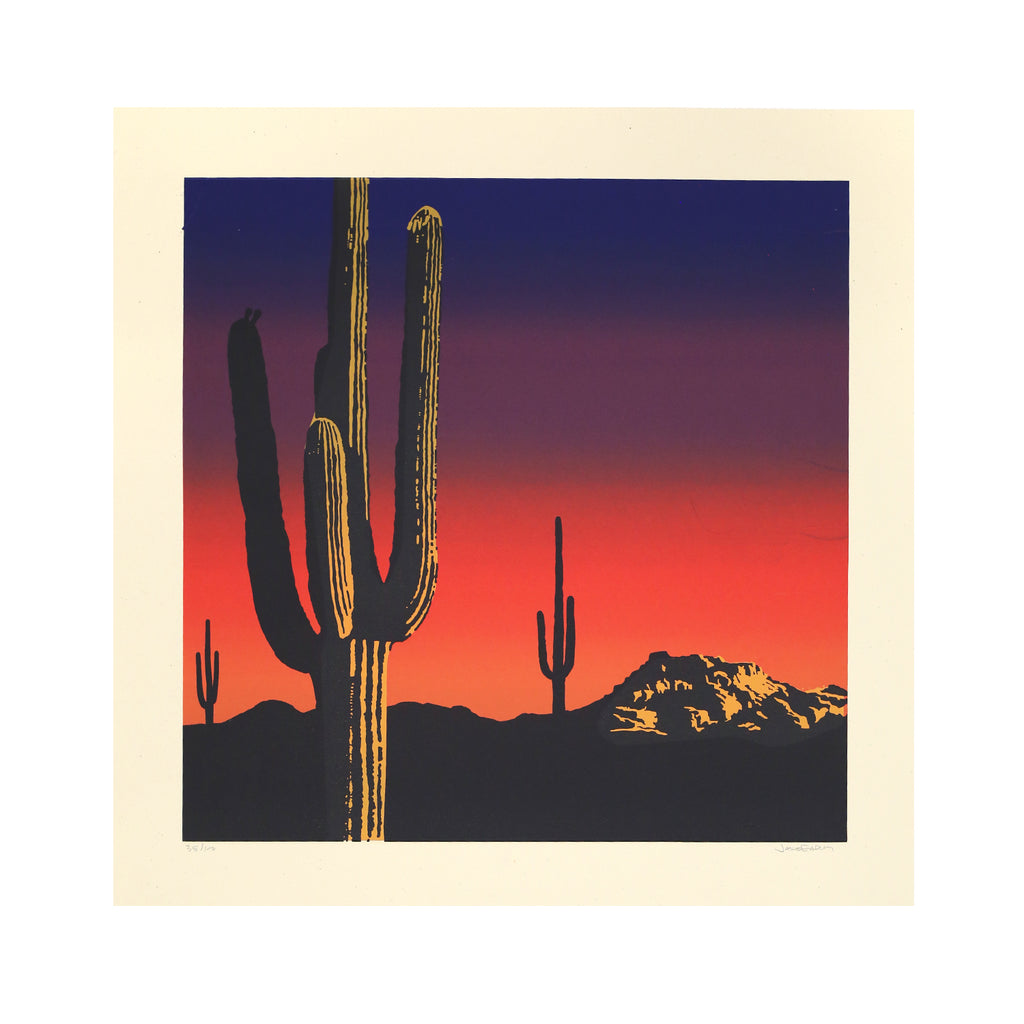 Sonoran Sunset by Jake Early – Practical Art
