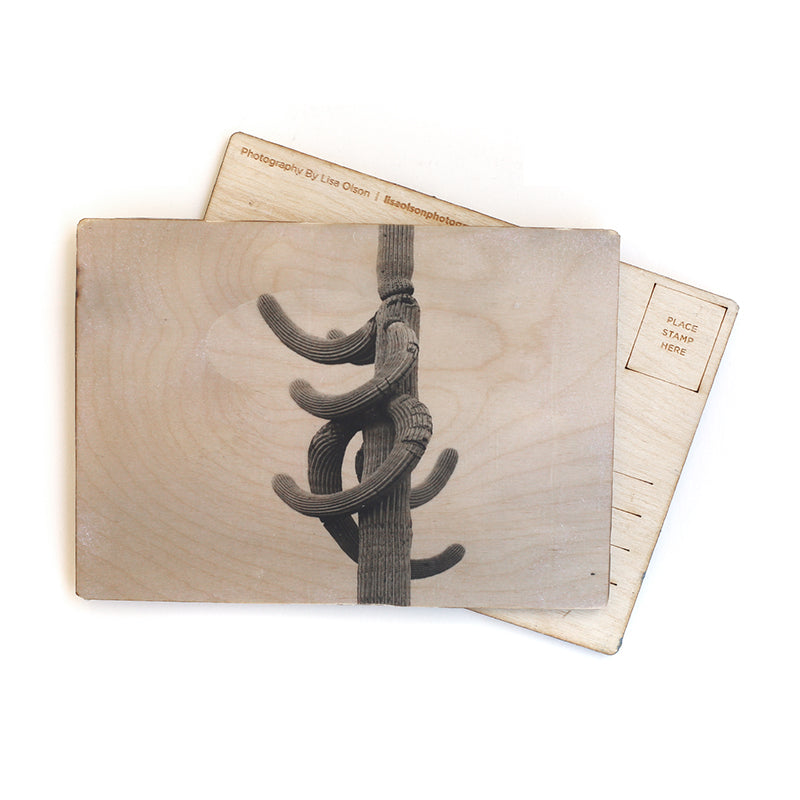 Dancing Saguaro postcard by Lisa Olson – Practical Art