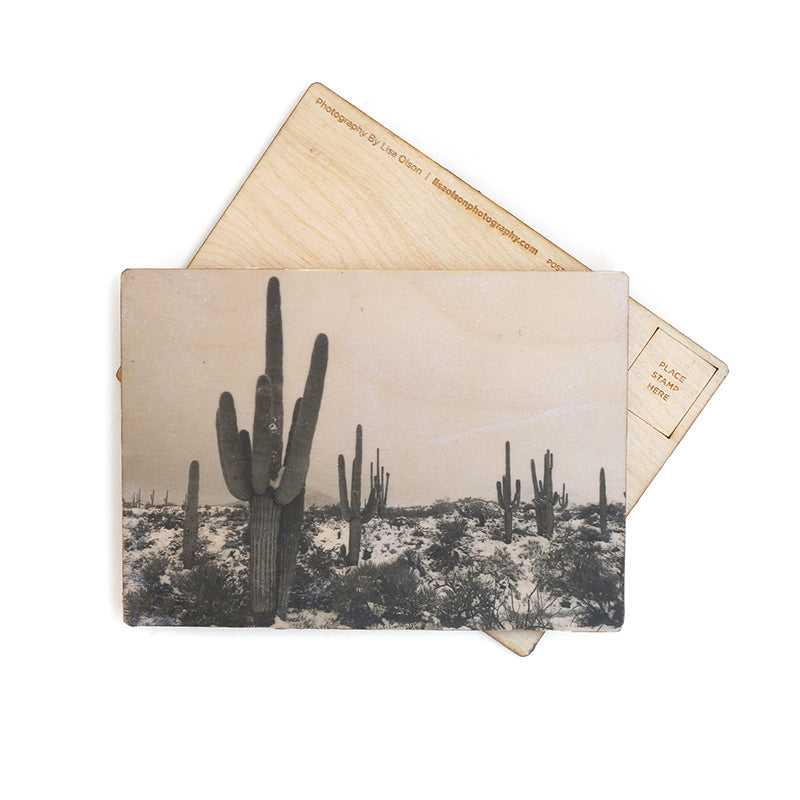 Snowy Desert postcard by Lisa Olson – Practical Art