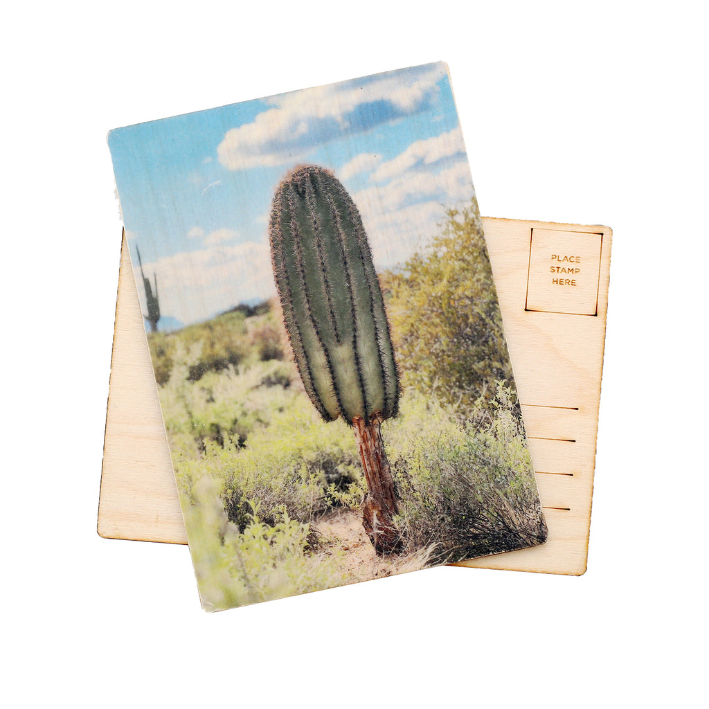 Desert postcard by Lisa Olson – Practical Art