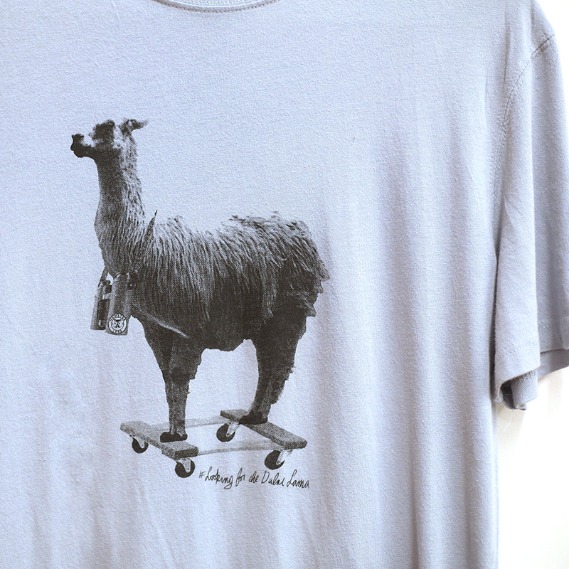 #Looking For The Dalai Llama – Practical Art